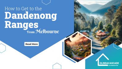 How To Get To Dandenong Ranges From Melbourne?