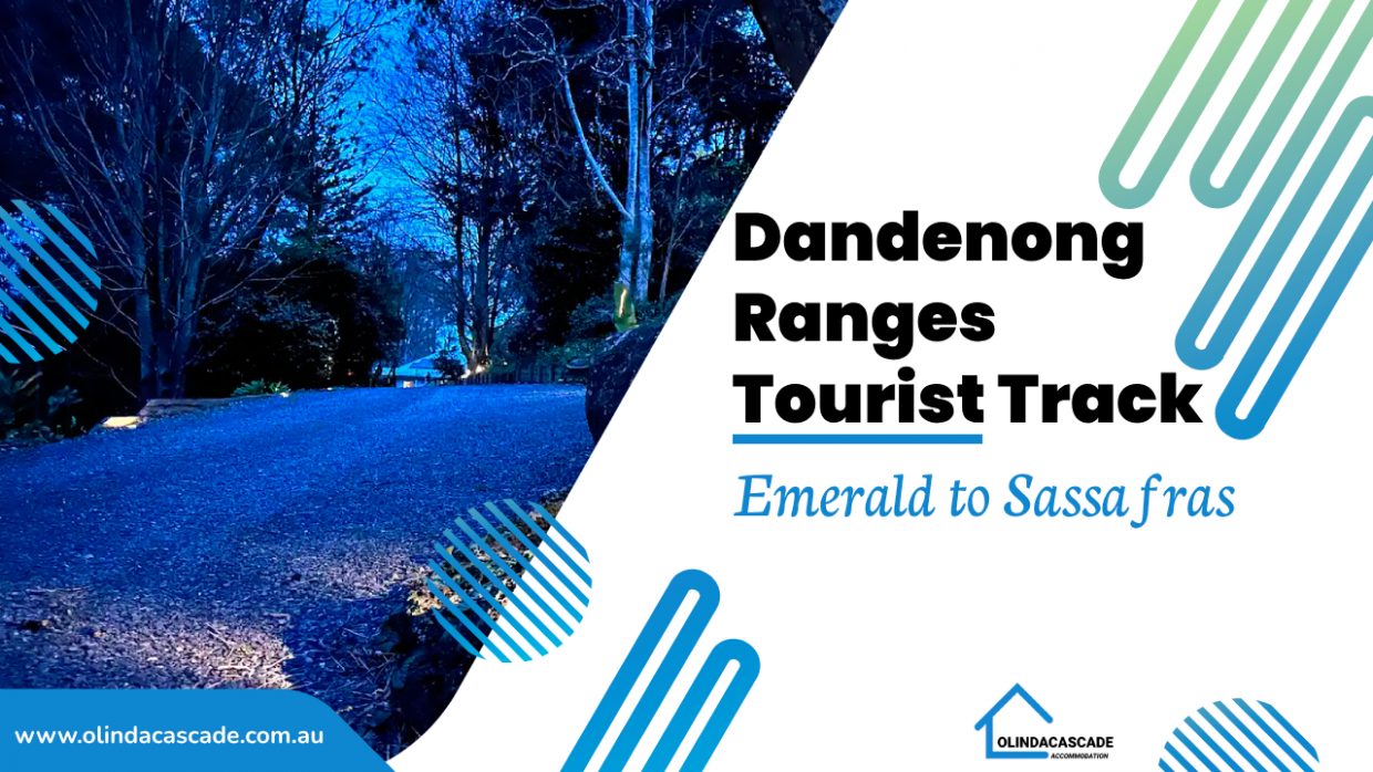 How To Get To Dandenong Ranges From Melbourne?